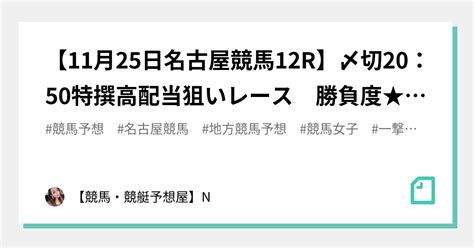 🔥【11月25日名古屋競馬12r】〆切20：50🔥特撰高配当狙いレース 勝負度★★★★【max：5 】｜【競馬・競艇予想屋】n｜note