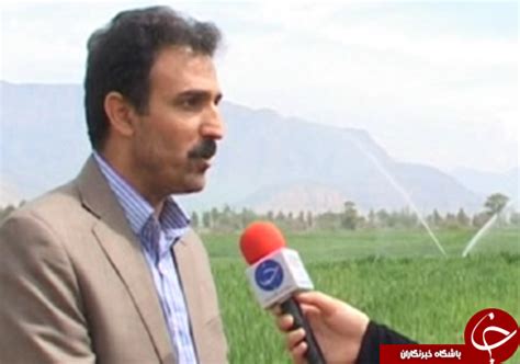 کاشت ارقام اصلاح شده نخود در لرستان تغییر سیستم کشت از بهار به پاییزه