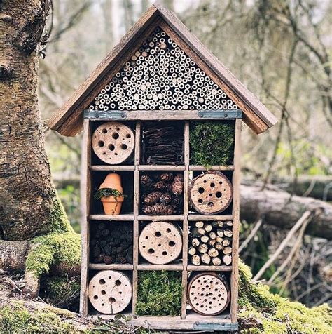 Wild Explorers Club On Instagram “have You Ever Seen A Bug Hotel 🐜