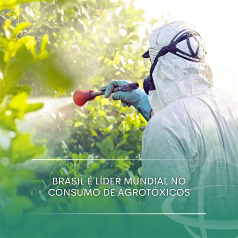 Brasil é Líder Mundial No Consumo De Agrotóxicos — Site Oficial Medpuc Rio