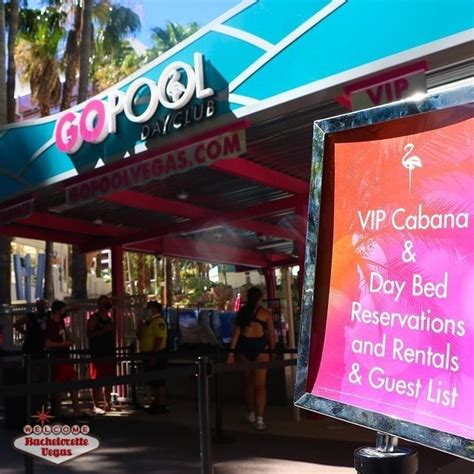 Flamingo Go Pool Pool Parties Las Vegas