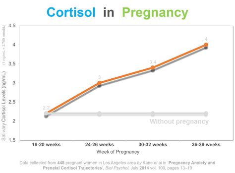 How Can My Medicine Affect Cortisol Levels At Home Health Tests
