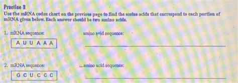 Solved Practice Use The Mrna Codon Chart On The Previous Page To