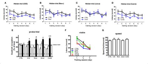 Chronic Comb Treatment Attenuates Cognitive Deterioration In J20 Download Scientific Diagram