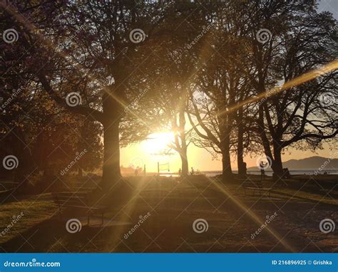 Sunset On Jericho Beach Park Stock Image Image Of Bich Beach 216896925