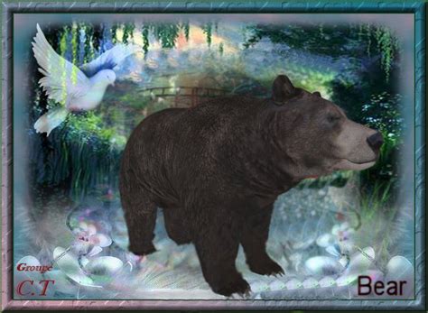 Second Life Marketplace Bb Bear Box Female