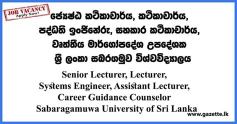 Senior Lecturer Lecturer Systems Engineer Assistant Lecturer Career