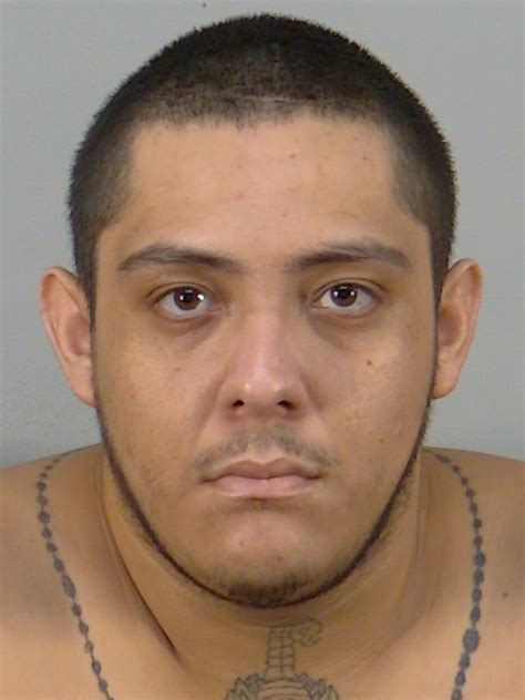 Suspect Who Surrendered To Lcso Swat Team Monday Was Wanted For