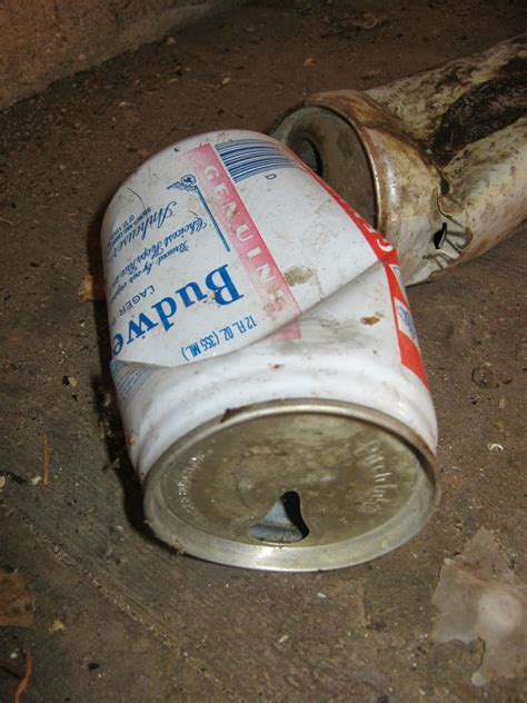 Esoterizona Pull Tab Beer Can