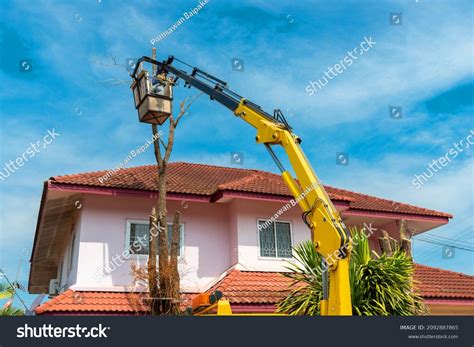 32 935 Tree Cutting Trimming Images Stock Photos Vectors Shutterstock