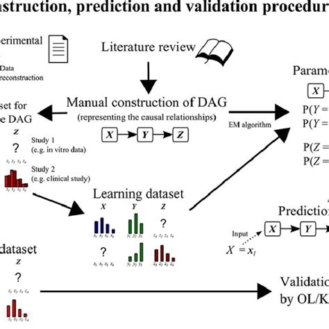 Model Construction Prediction And Validation Procedure Download