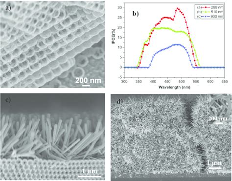 A Fesem Image Of Cds Quantum Dots Sensitized Tio 2 Inverse Opal Based