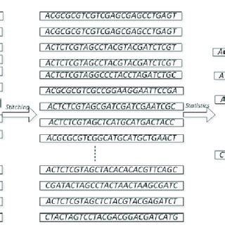 Sequencing Sequence Processing Download Scientific Diagram