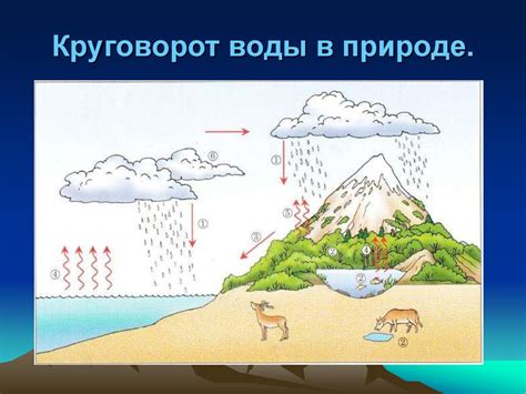 Познавательно исследовательский проект Круговорот воды в природе