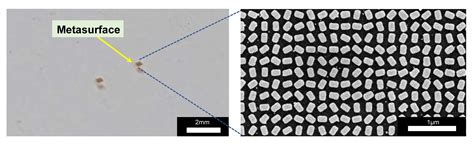 360° Structured Light With Learned Metasurfaces
