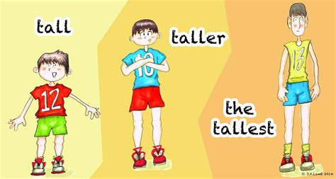 Презентация по теме High Tall
