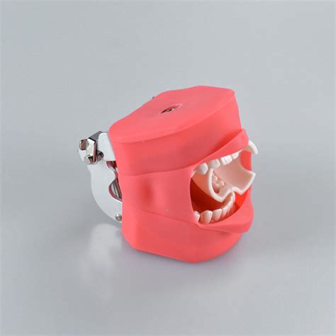 Implant Maxillary Sinus Model 7400 October 2023 Dental Lab Shop