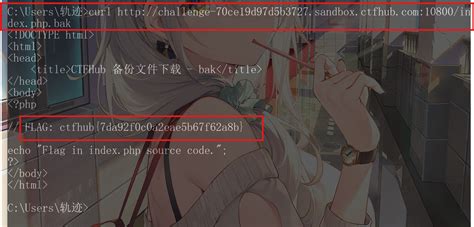 Ctfhub技能树 信息泄露wp H轨迹h 博客园