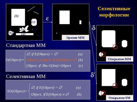 Development Of Applied Computer Vision Systems Using Projective