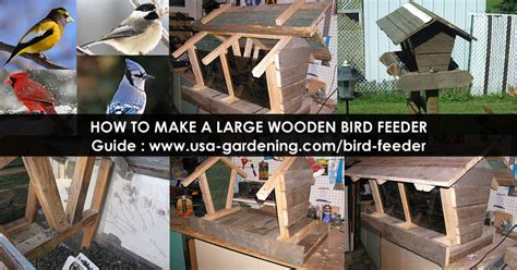 Bird Feeder Cut And Install Sheets Of Plexiglass