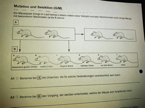 Biologie Hausaufgaben Mutation Selektion Schule Tiere Genetik