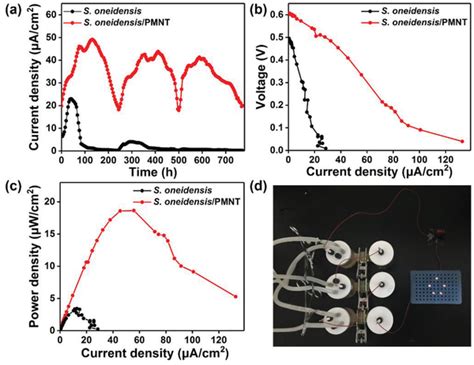 A Current Density Output B Polarization Curves And C Power‐density Download Scientific