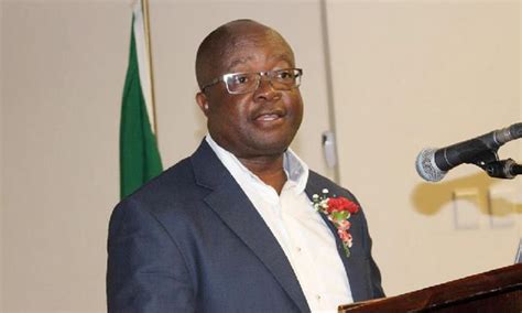 Namibia To Produce First Green Hydrogen Ammonia In July Namibia