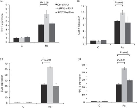 Figure 4 From Suppressor Of Cytokine Signalling Protein SOCS1 And UBP43