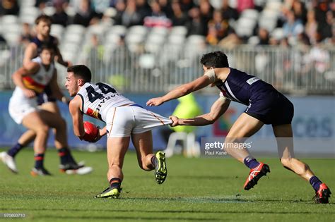 Afl And Nrl Players Page 110 Lpsg