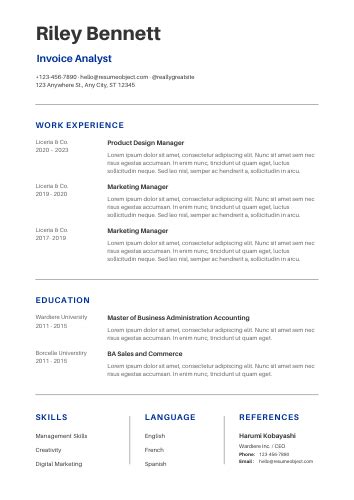 Invoice Analyst Resume Format Summary Skills Duties Resume Object