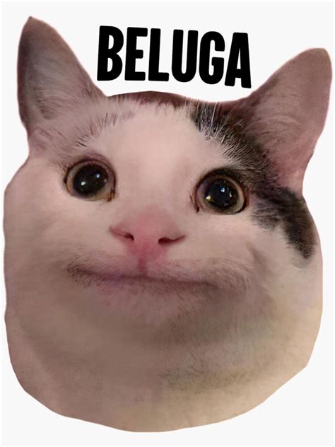 Beluga Cat Discord Pfp Sticker For Sale By Liamandlore Redbubble