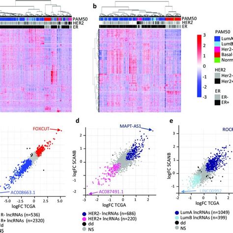 Lncrna Expression In Breast Cancer Subtypes Hierarchical Clustering Of