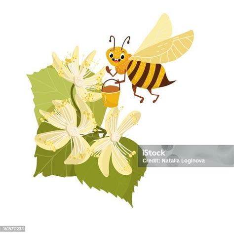 꿀 양동이 린든 꽃을 가진 꿀벌의 만화 캐릭터의 벡터 그림 건강관리와 의술에 대한 스톡 벡터 아트 및 기타 이미지 건강관리와 의술 곤충 군체 Istock