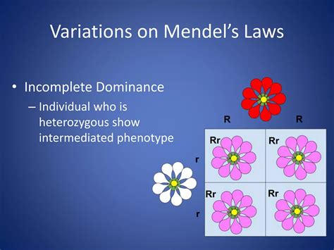 Patterns Of Inheritance Pptx