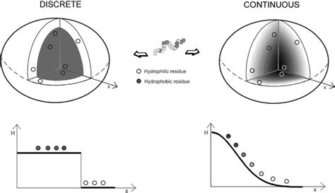 schematic presentation of differences between discrete and continuous