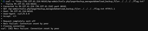 Getting Started Public Exploit Quick Solve Academy Hack The Box