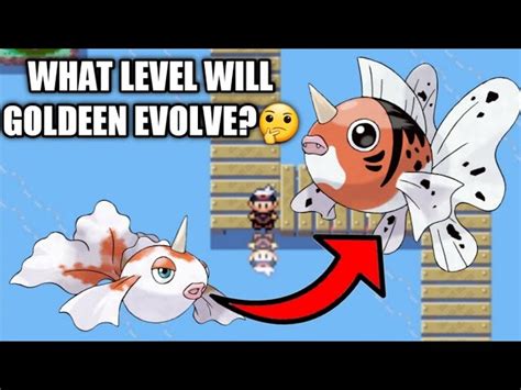 Goldeen Pokemon Evolution Goldeen Pokemon Evolution