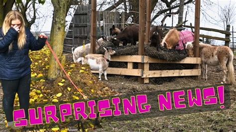 Surprising News About Our Tiny Baby Goat YouTube