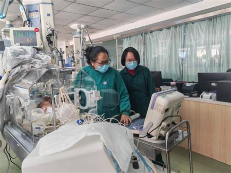 Nicu