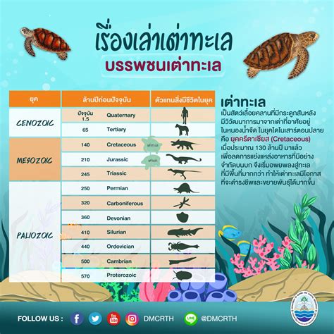 ช่วงนี้อยู่บ้าน ทช กรมทรัพยากรทางทะเลและชายฝั่ง