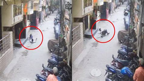 Ghaziabad Dog Attack 15 Yr Old Mauled By Neighbors Pit Bull