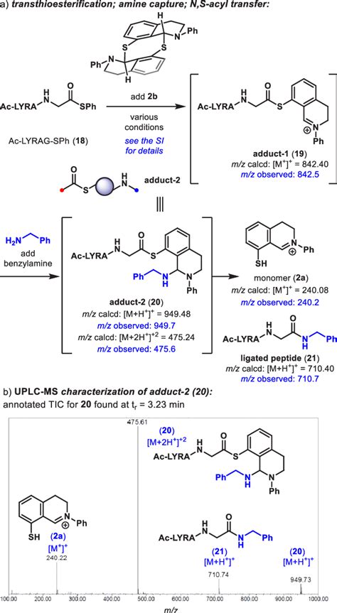 Ns Acetal Dimer 2b Reacts With Thioester Peptide 18 To Form