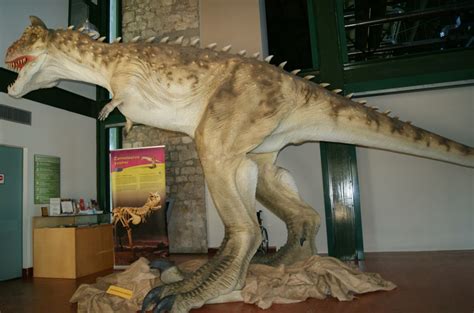 Μουσείο Φυσικής Ιστορίας Κρήτης ΕΘΑΙΟΣ