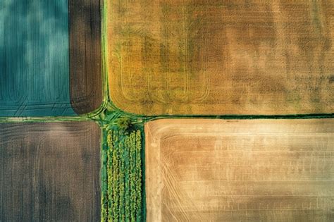 Springtime Fields Divided Into Geometric Shapes From Above Premium Ai