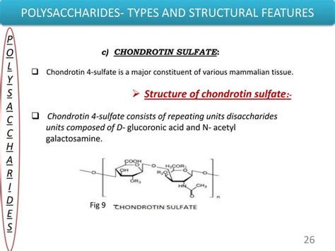 Polysaccharides Types And Structural Features Pptx