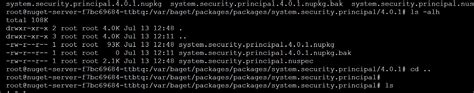 mirroring failed when there is a zero size nupkg file on the disk due
