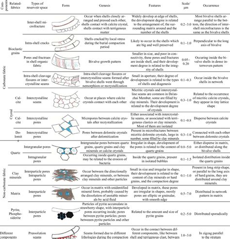 Types And Features Of Matrix Pores And Microfractures In Daanzhai