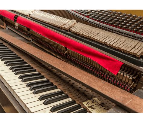 How To Treat Woodworm In A Piano Village And Cottage