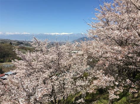 甲州高尾山と花見ラン ラントリップ