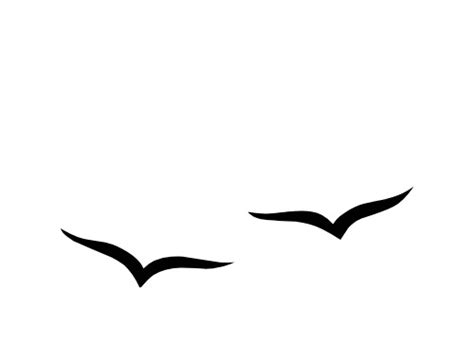 Albatross Clinic Albatross Collective